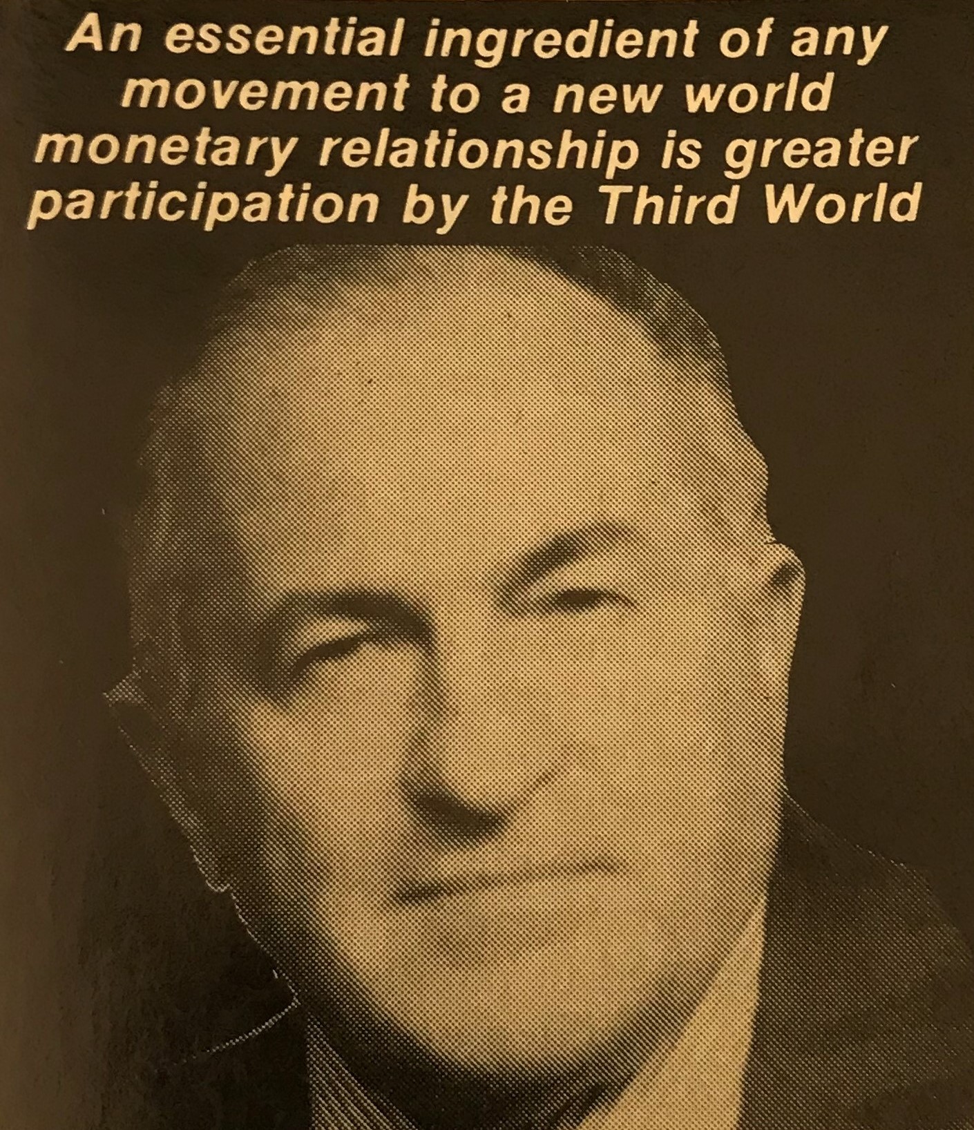 Third World Bank | BCCI Insights